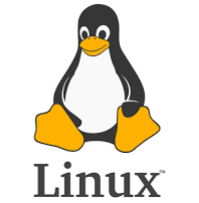 Linux一键重装支持Debian 12，迄今为止功能最全，最好用的脚本 - 魔鬼在人间